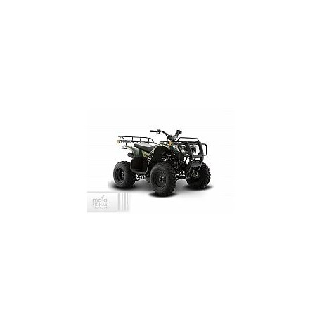 Italika ATV180
